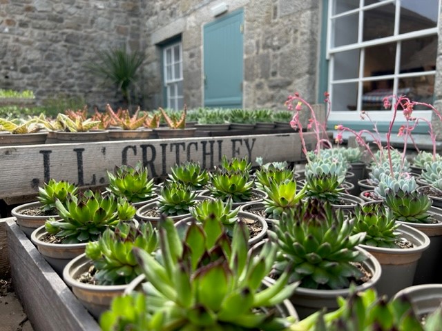 St Michael's Mount Shop – St Michael's Mount